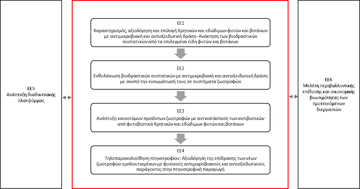 Μεθοδολογία Υλοποίησης του Έργου – Phytobiotics – Φυτοβιοτικά