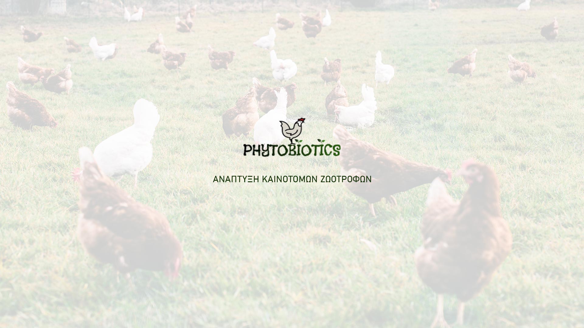 Phytobiotics – Φυτοβιοτικά